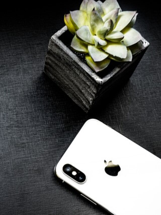 Career options after M.Sc Botany