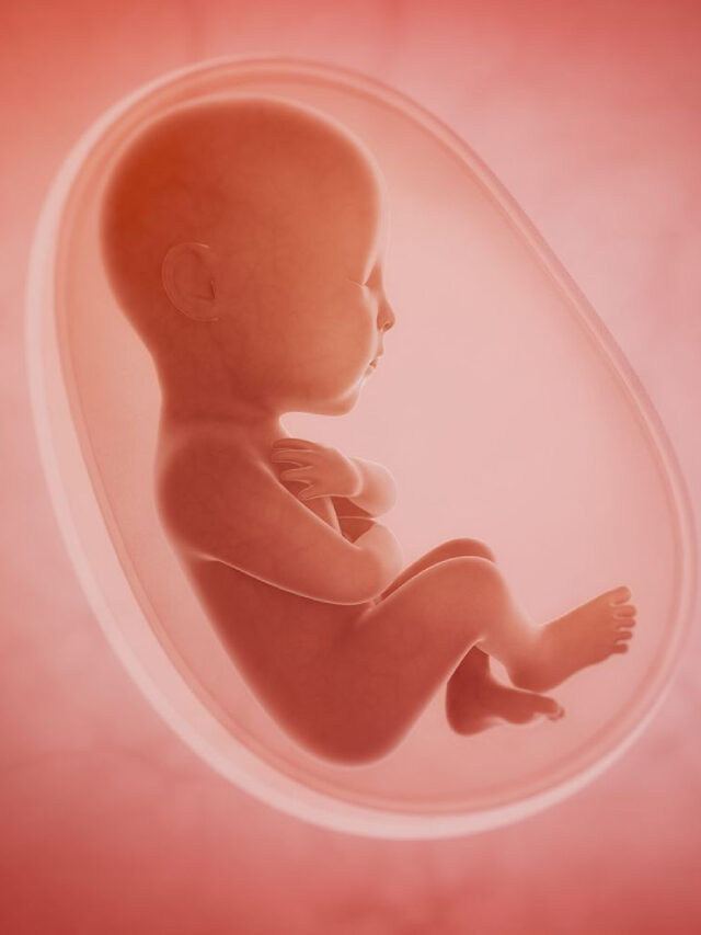 பெண்களுக்கு கருச்சிதைவு ஏற்பட அடிப்படை காரணங்கள்..!!