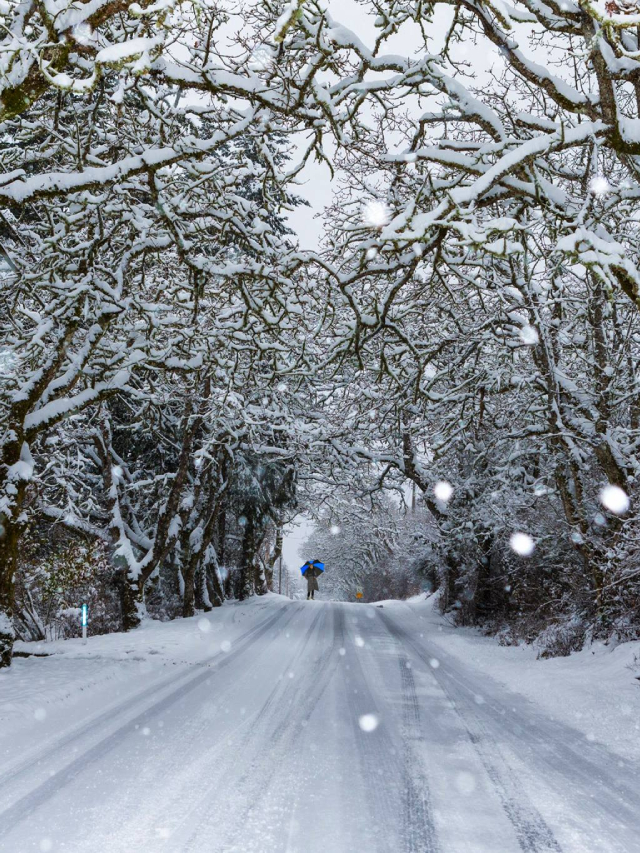 தென்னிந்தியாவில் பனிப்பொழிவை அனுபவிக்கும் மலைவாசஸ்தலம் எது தெரியுமா?