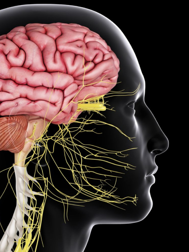 மூளைக்கு தீங்கு விளைவிக்கும் இந்த செயல்களை எப்போதும் செய்யதீர்கள்..!!