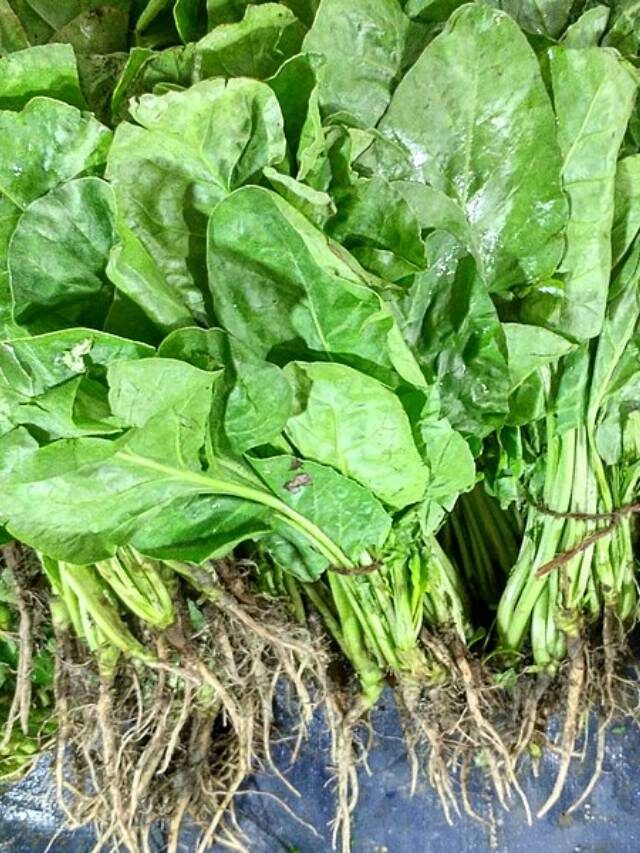 சத்துள்ள கீரை வகைகளும், அதன் குணமும்!