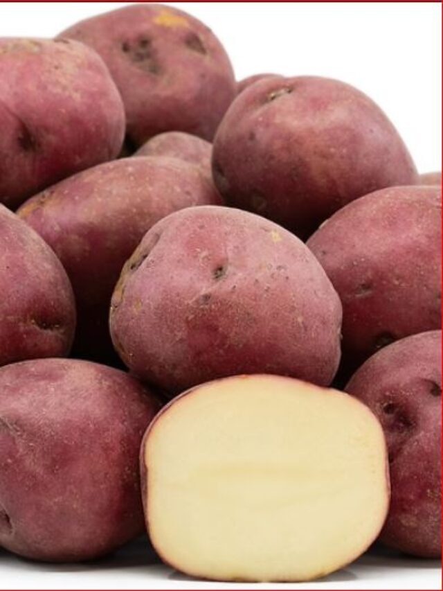 சிவப்பு உருளைக்கிழங்கின் ஆரோக்கிய நன்மைகள்!