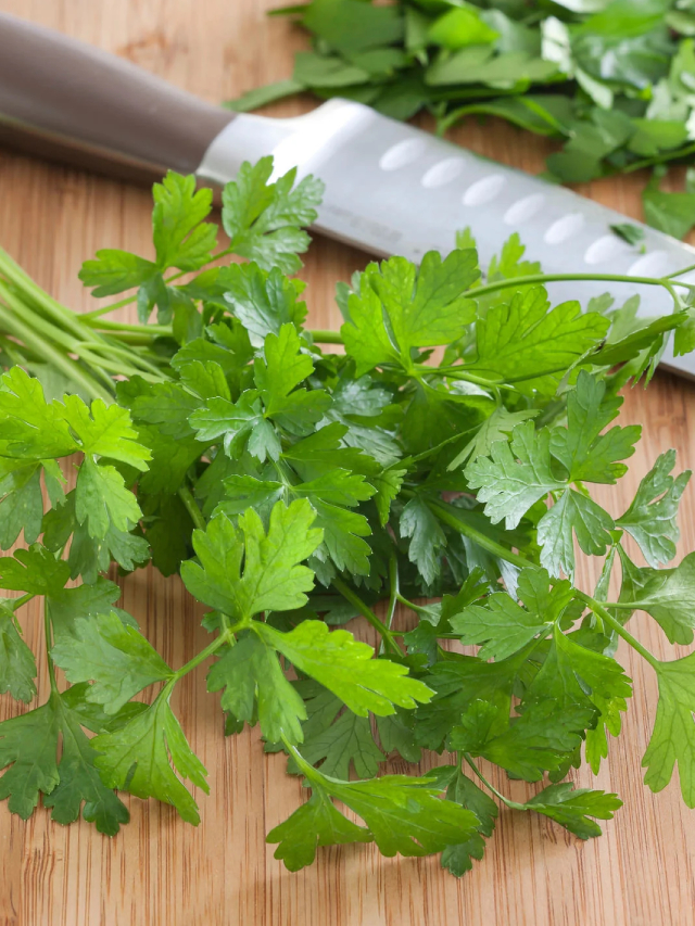 தொள தொள தொப்பையை குறைக்க இந்த பார்ஸ்லி இலை போதும்..!!