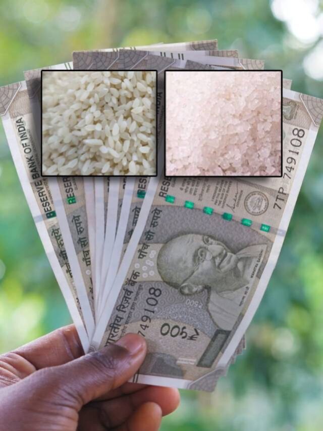 உழைப்புக்கு ஈடாக தரப்படும் சம்பளம் எப்படி உருவானது தெரியுமா..?