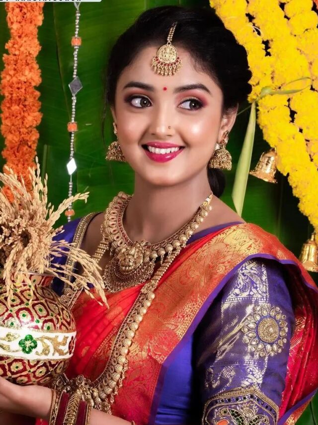 ಭಾಗ್ಯಲಕ್ಷ್ಮೀ ಸೀರಿಯಲ್‌ನ ಲಕ್ಷ್ಮೀ ಕುರಿತ ಇಂಟರೆಸ್ಟಿಂಗ್ ವಿಷಯಗಳು